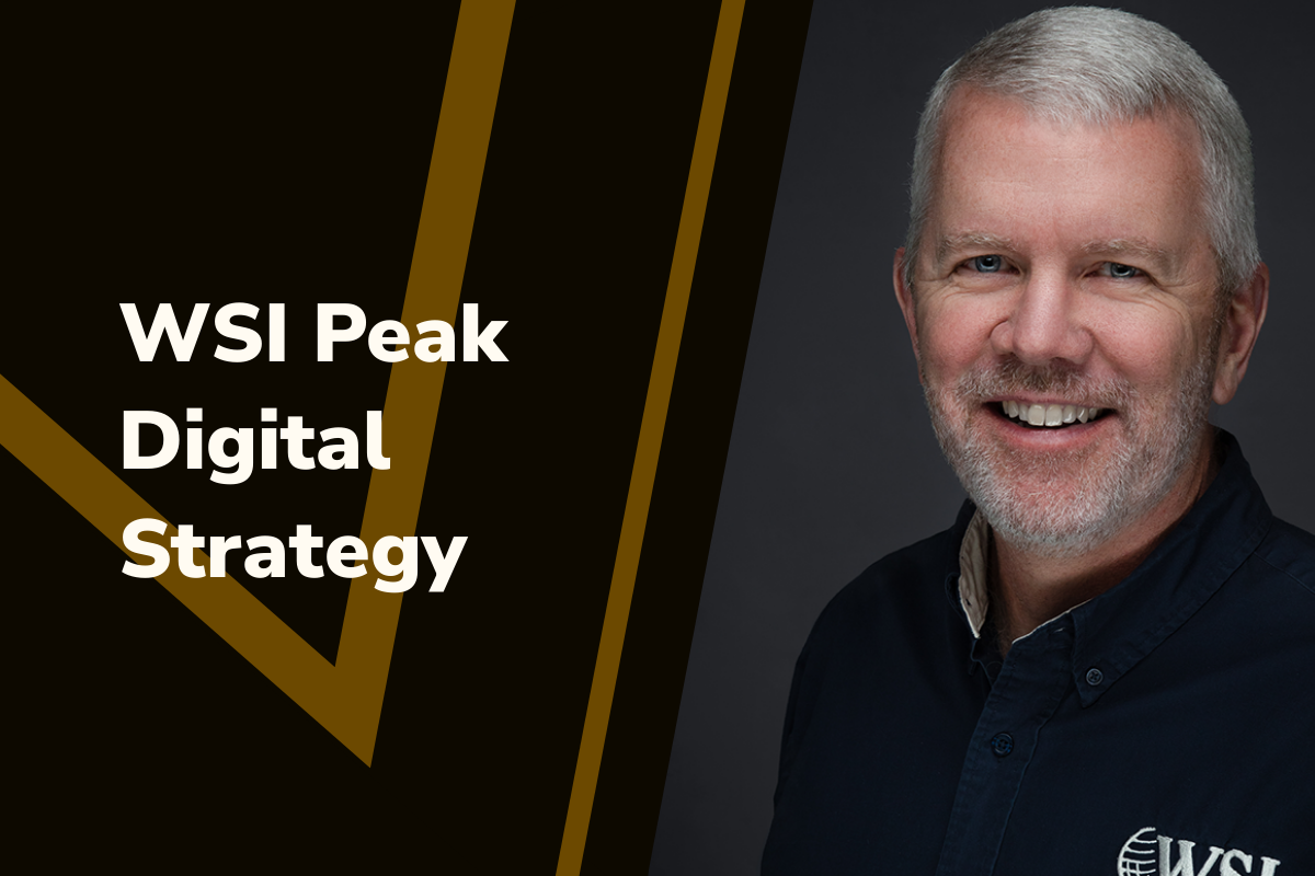 WSI Peak Digital Strategy - Baseline